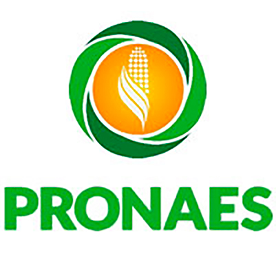 Bienvenido a PRONAES